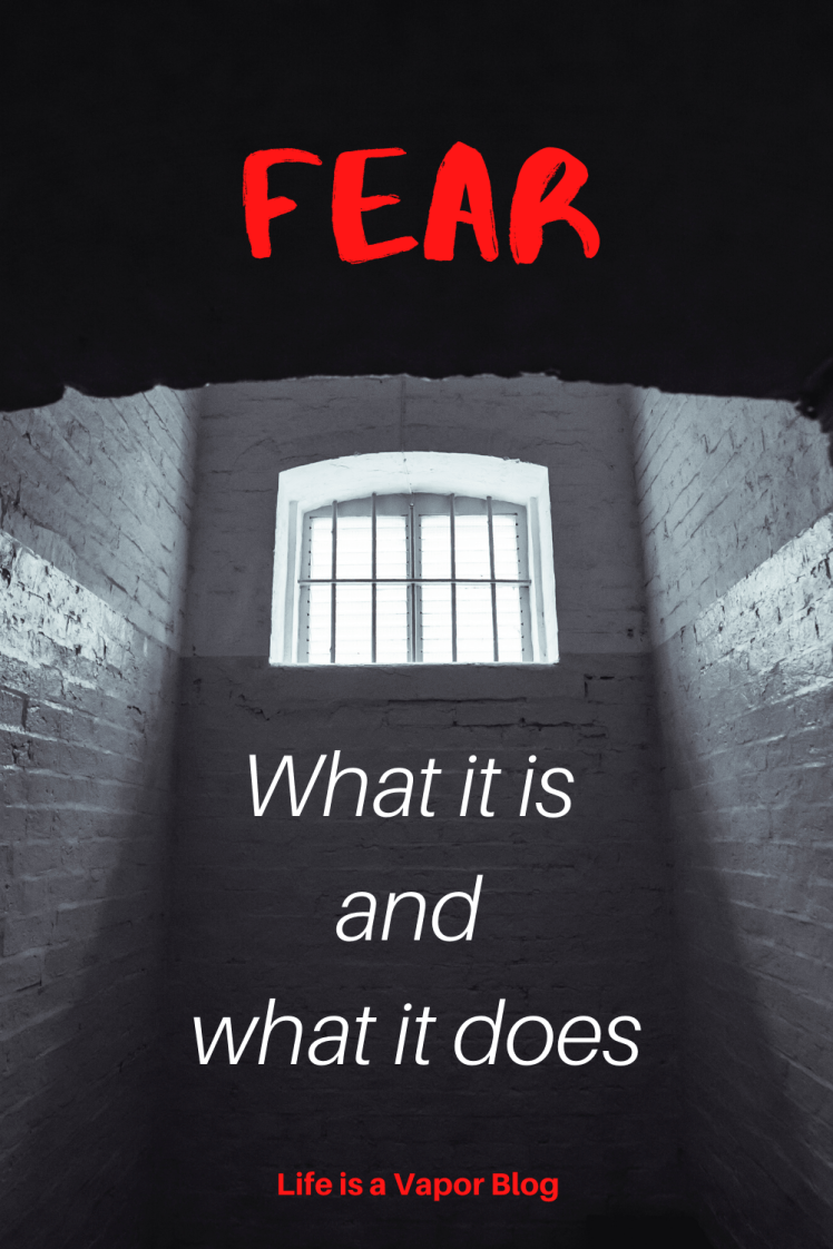Fear: What it is, and what it does (Part 1) – Life is a Vapor