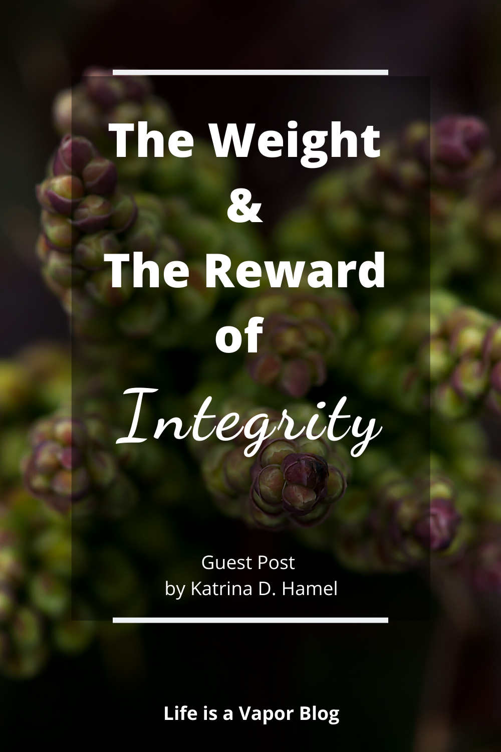 The Weight & The Reward of Integrity – Life is a Vapor